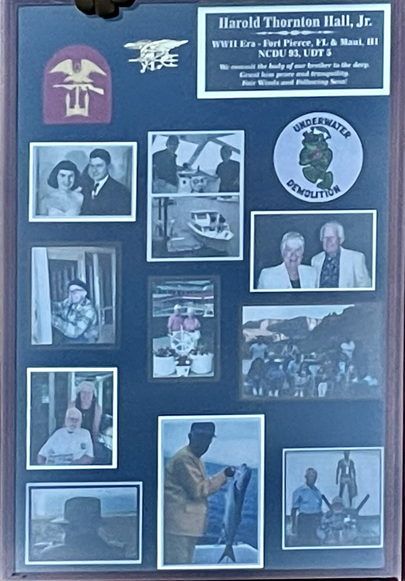 Dignity: Harold Thornton Hall JR WWII Hero and Original Navy Seal ...